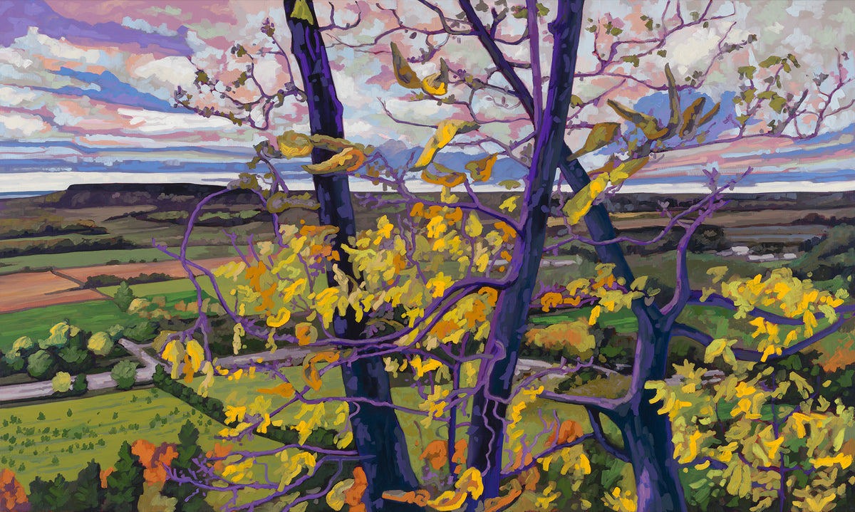 Escarpment View by Kerry Walford – Cloud Gallery